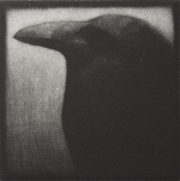 Série « Eclipse » – Mathias Martin..